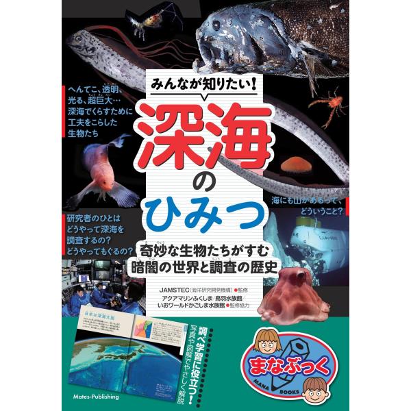 「商品状態」★安心の防水梱包★中古品ではございますが未使用のほぼ新品となります。