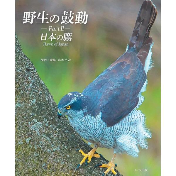 「商品情報」本書は野鳥撮影の第一人者真木広造氏が長年に渡って撮り続けてきた猛禽類の写真の中からタカ類のうちミサゴ、ハチクマ、トビ、シロガシラトビ、オオタカ、ハイタカ、アカハラダカ、ツミ、サシバの９種を掲載した写真集です。日本国内では稀にしか...
