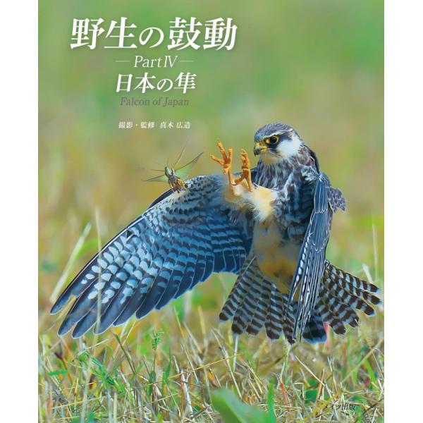 「商品状態」★安心の防水梱包★中古本となりますが使用感のないほぼ新品となります。「商品情報 (新品の場合) 」本書『野生の鼓動PartIV』は野鳥撮影の第一人者真木広造氏が長年に渡って撮り続けてきた猛禽類の中からハヤブサ類を収録した写真集で...