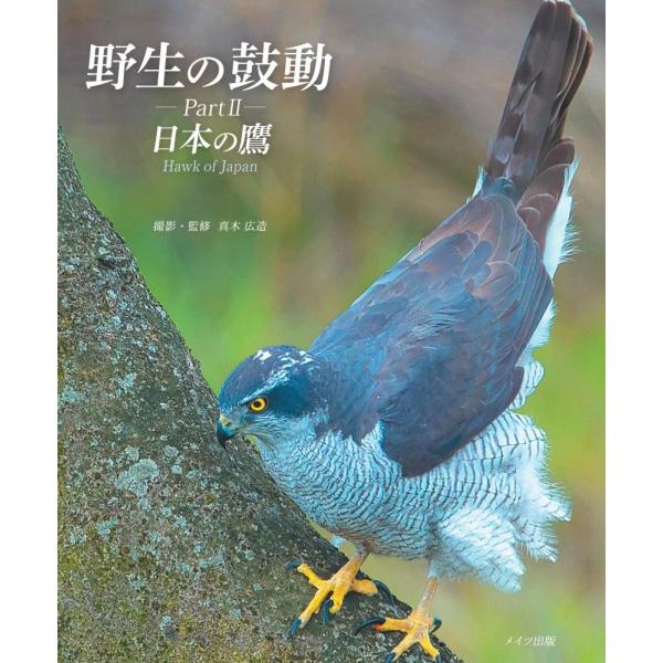 「商品状態」★安心の防水梱包★中古本となりますが使用感のないほぼ新品となります。「商品情報 (新品の場合) 」本書は野鳥撮影の第一人者真木広造氏が長年に渡って撮り続けてきた猛禽類の写真の中からタカ類のうちミサゴ、ハチクマ、トビ、シロガシラト...