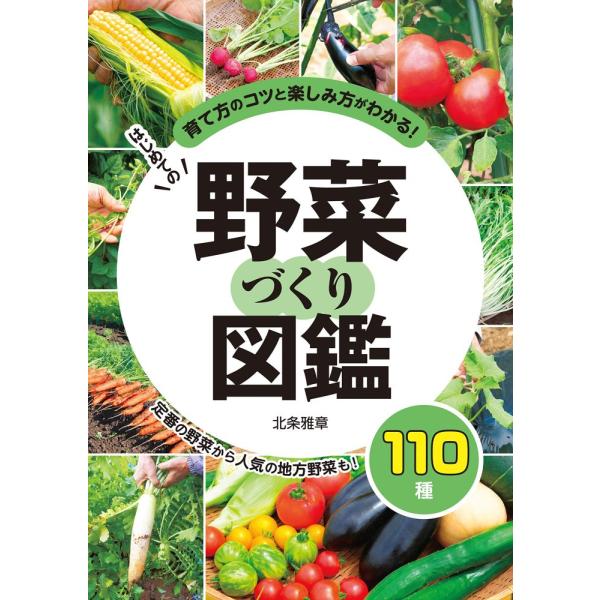 「商品状態」★安心の防水梱包★中古本となりますが使用感のないほぼ新品となります。「商品情報 (新品の場合) 」野菜づくり初心者から、いろいろと挑戦したい中級者に向けた一冊。本書では、110種の野菜を取り上げ、葉もの、実もの、根もの別に、栽培...