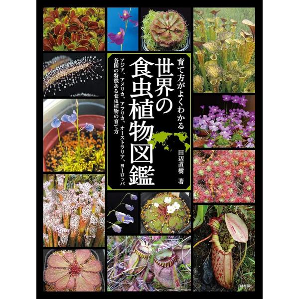 「商品情報」いま人気の大型サラセニア、ネペンテスなどを中心に食虫植物全般を収録した図鑑です。最近の改良品種の増加によって登場した暑さに強いタイプや、美しい園芸種(交配種)、気難しい種、花の個体差など、食虫植物の魅力を余すところなく解説してい...