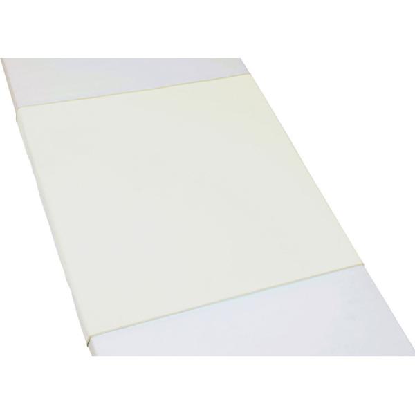 ●サイズ／幅145×長さ110cm●材質／表地：ポリエステル100％、裏地：ポリウレタンラミネート（耐熱）●生産国／日本●洗濯機可●脱水機可●乾燥機可（130℃）●防水加工、速乾性、撥水加工●ケース入数（ケース購入時）/50・安心の日本製！...