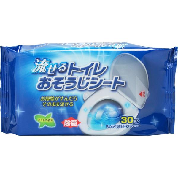 ●サイズ（1枚当たり）／16×25cm●材質／パルプ●成分／水、エタノール、塩化ベンザルコニウム、界面活性剤、香料●生産国／日本●トイレに流せるタイプ●ケース入数（ケース購入時）/40・除菌。ミントの香り。トイレに流せる。