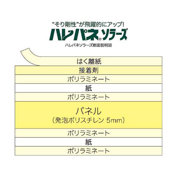 プラチナ万年筆 ハレパネ ＡＳＲＬ１−５品番：ASRL1-5JANコード:4977114800313※メーカーの都合によりパッケージ及び内容量などが予告なく変更される場合があります。