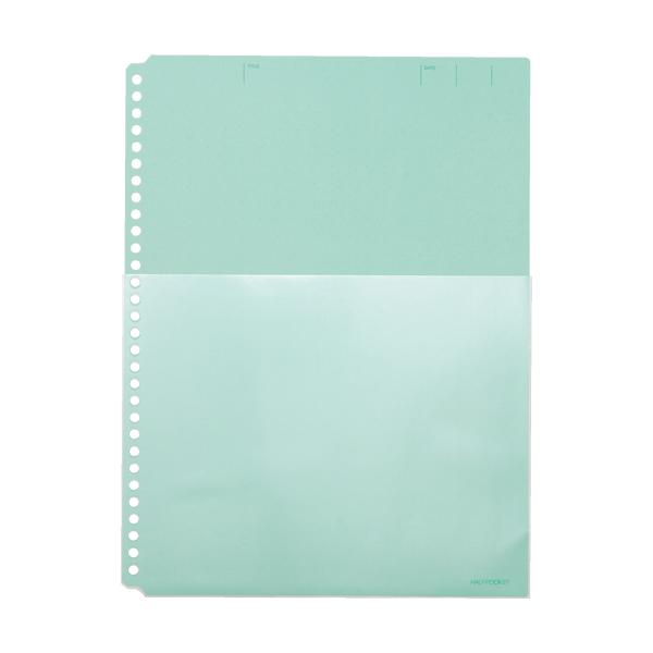 キングジム ポケットファイル １０８ＨＰミト品番：108HPミトJANコード:4971660004881※メーカーの都合によりパッケージ及び内容量などが予告なく変更される場合があります。