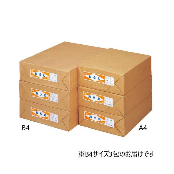 大王製紙 更紙 おうむＳ B4 1000枚×3包JANコード: 4902011346183※メーカーの都合によりパッケージ及び内容量などが予告なく変更される場合があります。