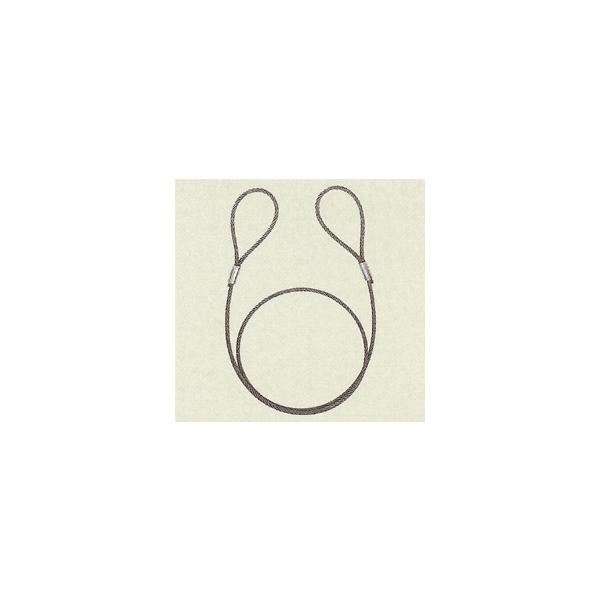 ・JISロック止ワイヤー・JIS規格ワイヤーロープを使用。・両端ロック止加工(アルミ管圧縮止)・ワイヤー径 : 9 mm・ワイヤー長さ : 6m・切断荷重 : 39.9kN (4.07tf)・メーカー : コンドーテック・メーカー直送品・北...