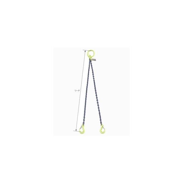マーテック(株) チェーンスリング(長さ調整機能付) 2本吊りセット TG2-EGKNA 6×1.5m (1.9トン) | 清水金物.biz ...