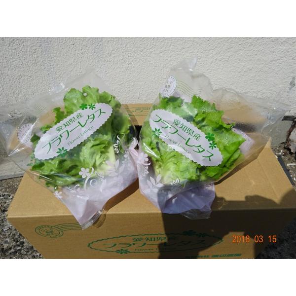 1年間を通じて、同じ値段で安定してお届けいたします。