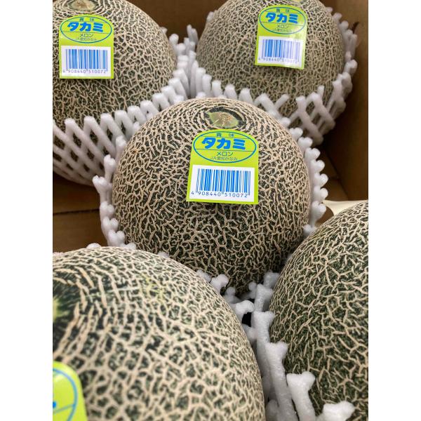 肉厚で糖度が高く、青肉系、マスクメロンに近い味です。田原はメロンの大産地。こちらでは大量に入荷しています。