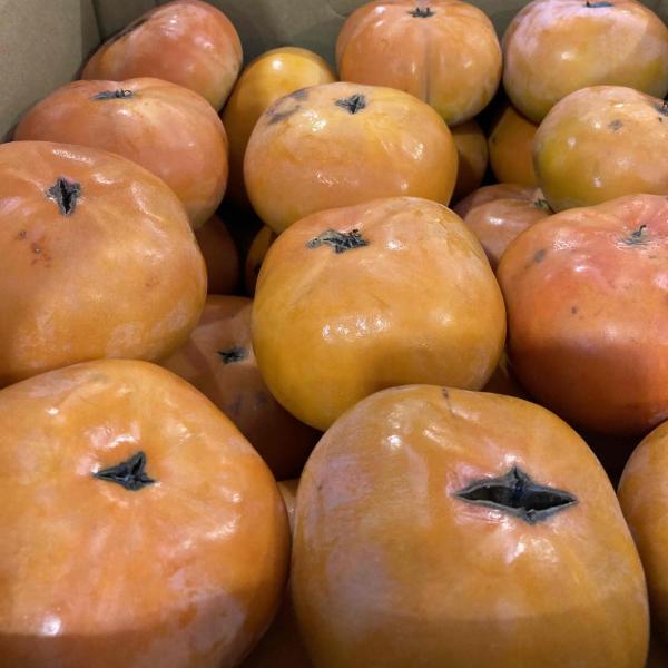 日本一の生産量を誇る、豊橋石巻地区キズがあるから甘い！安い！傷みやすいので、早めにお召し上がりください。