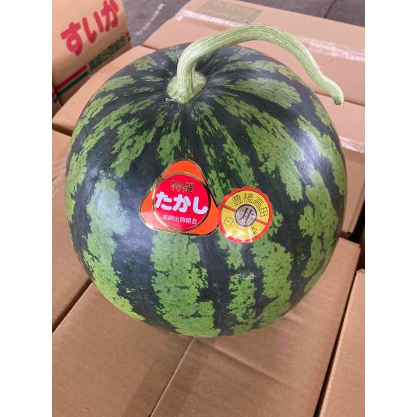 甘さ保証！！自信あります。篤農家のスイカです豊橋でも指折りの篤農家白井さん、小野田さんの個人出荷すいか味が安定しています