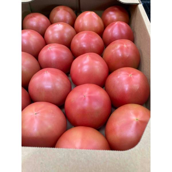 箱売りだからお値打ち！！愛知はトマトの一大生産地です。新鮮で美味しいものを厳選仕入れいたします。