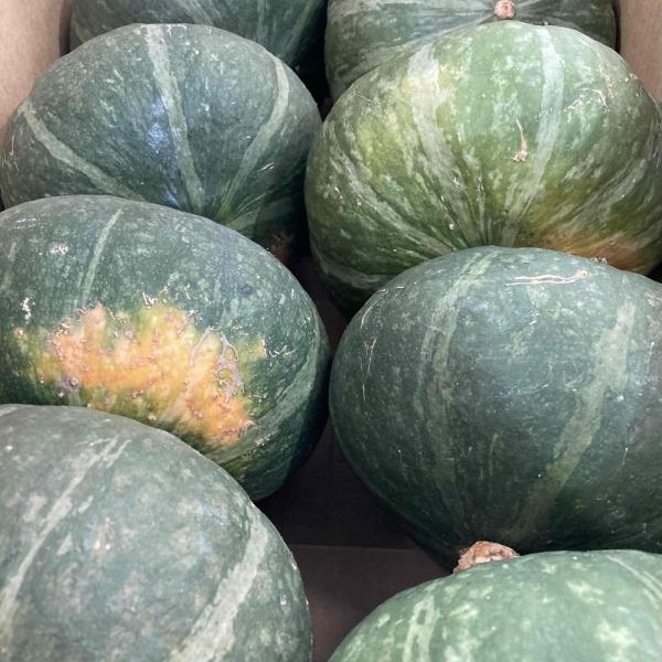 安心、安全の　かぼちゃホコホコに煮える南瓜をチョイスしました