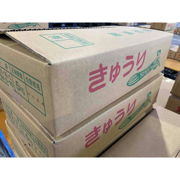 出荷したての新鮮な商品を出荷いたします。