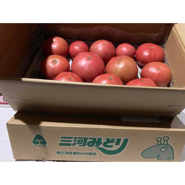 箱売りだからお値打ち！！豊橋はトマトの一大生産地です。規格外のはねだしトマトもたくさん出ます。こちらだけでは販売しきれません。そこで、お値打ちなトマトを全国の皆さんに紹介いたします。衝突での潰れ防止のために緩衝材として新聞紙が大量に詰め込ん...