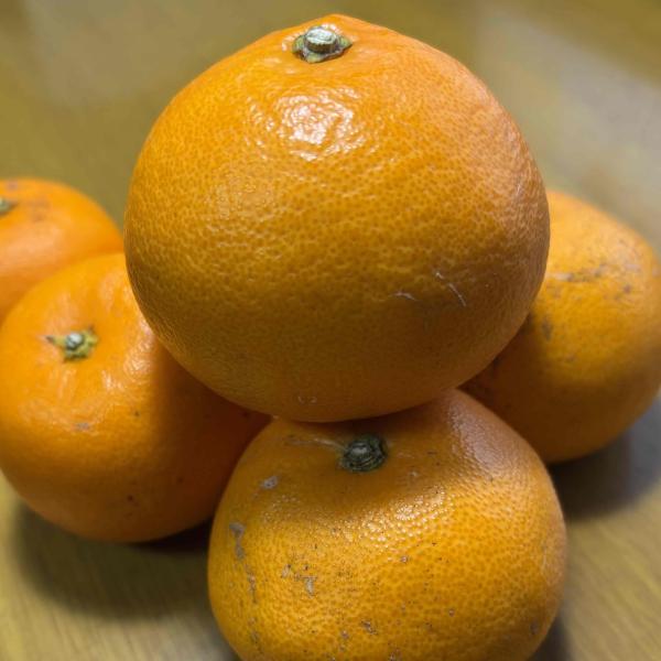 柑橘の大トロと言われております薄皮ごと食べられます