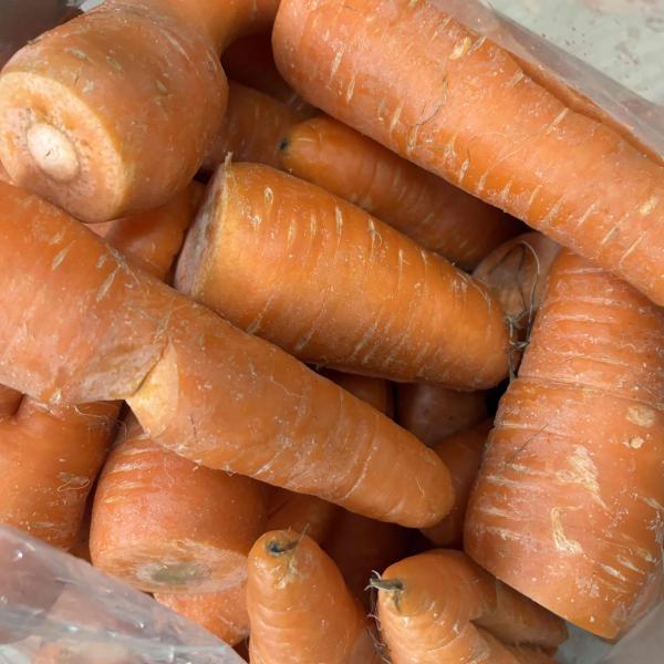 いつでも、あるわけではありません。当社は、人参を大量に加工する関係で、悪い所をカットした人参が大量に出ます。すぐに使うには支障ありません。日持ちが悪いのでご注意ください。価格は超お値打ちにいたします。