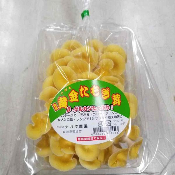 タモギタケは、糖質・たんぱく質・植物繊維が豊かで、ビタビンＢ郡・アミノ酸・β−グルカン（β1,3-グルカン）やセラミドなどさまざまな栄養素が濃縮されています。