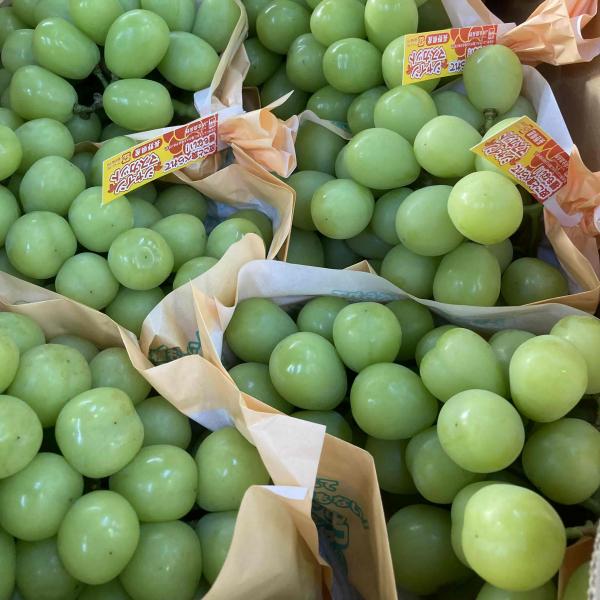 種無しの大房食べ応えあります皮ごと、ガブっとやっちゃってください！美味しい産地を厳選しております。