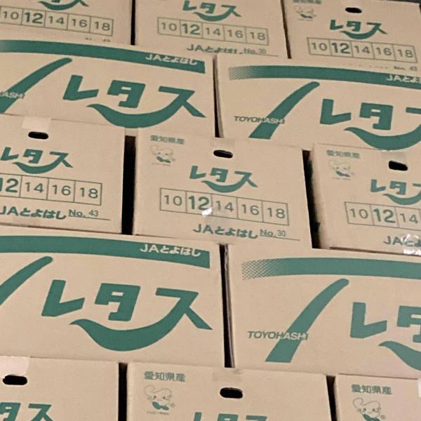 １年を通じてお届けいたします。