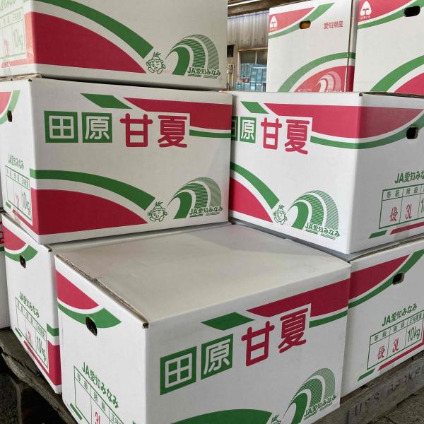 渥美半島の田原地区は甘夏の大産地潮風に当たった甘夏は、ジューシーで甘酸っぱくなりますポカポカしてきた季節には甘夏がピッタリ！！