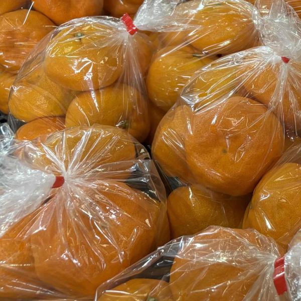 贈答に出せない外B品です。大喜いの、小さいの色々ですはっきり言って外見は良くありませんキズ、シミ、浮き皮あります値引き、返品受け付けませんので了解の上お求めください。三ヶ日、蒲郡ハウスみかんの産地に近いためＢ品が市場にたくさん出ます。とにか...