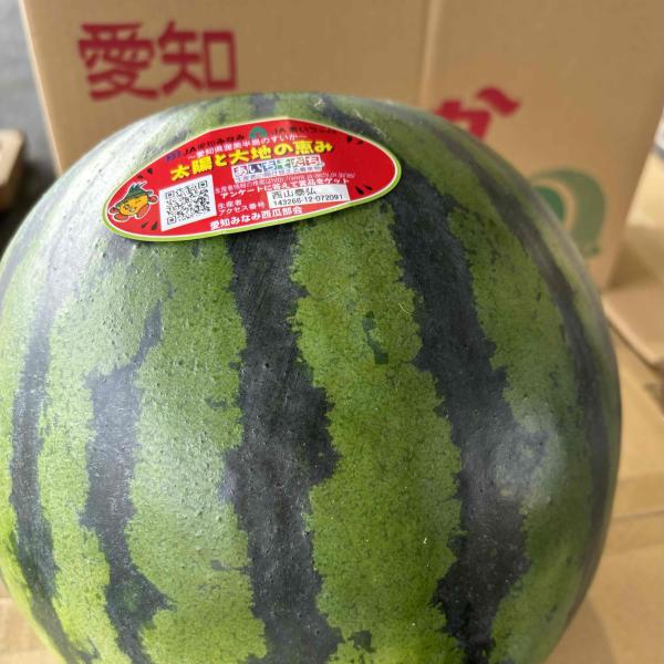 抑制栽培ですので9月頃までございます甘みは少しライトですが暑い時期ですので美味しく感じます。