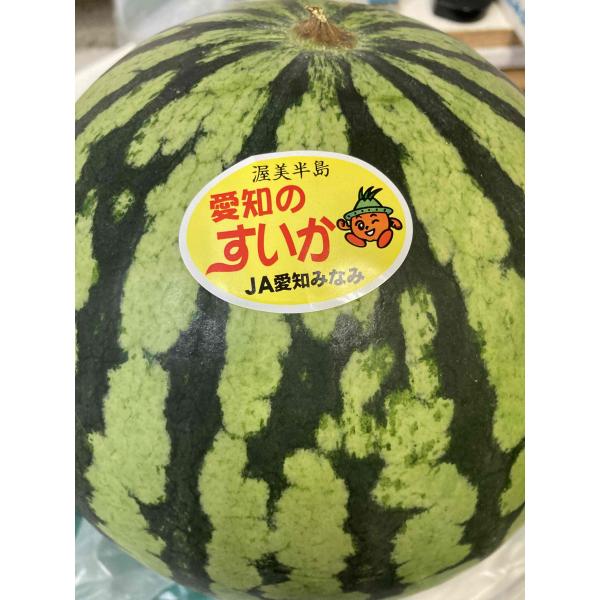 抑制栽培ですので9月頃までございます甘みは少しライトですが暑い時期ですので美味しく感じます。