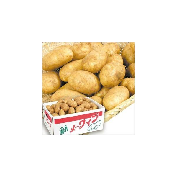 煮崩れしにくいジャガイモですカレー・シチューに最適