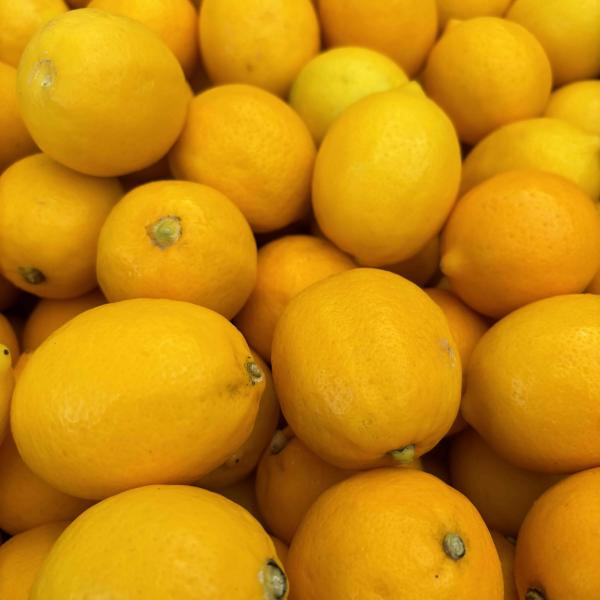 安心・安全の国産のレモンです。外国産に比べて農薬の使用量ははるかに少なく、ポストハーベストもありませんから、安心して使っていただけます。基本情報オレンジとレモンの交雑によって生まれたのがマイヤーレモンです。普通のレモンと比べると、一般的に甘...