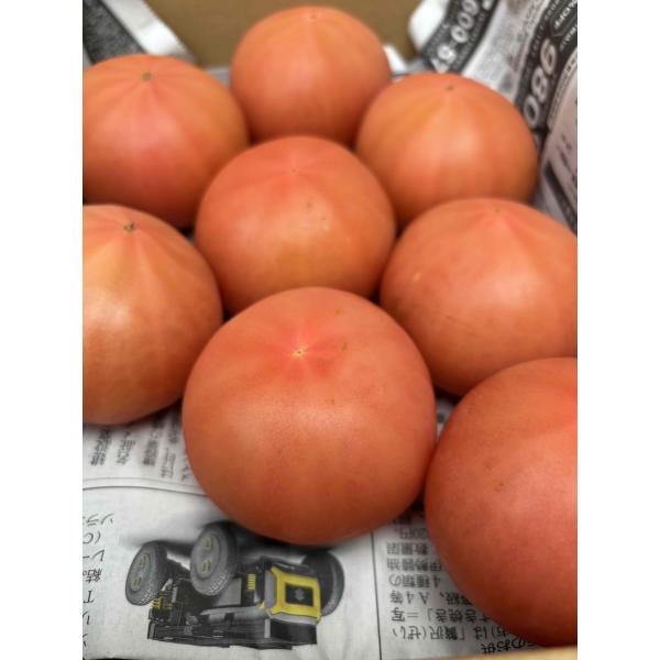 豊橋周辺はトマトの一大生産地です。規格外のはねだしトマトもたくさん出ます。こちらだけでは販売しきれません。そこで、お値打ちなトマトを全国の皆さんに紹介いたします。衝突での潰れ防止のために緩衝材として新聞紙が大量に詰め込んであります。コストダ...