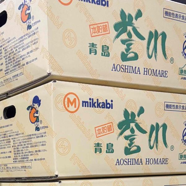 マルエム三ヶ日青島みかんの貯蔵品です