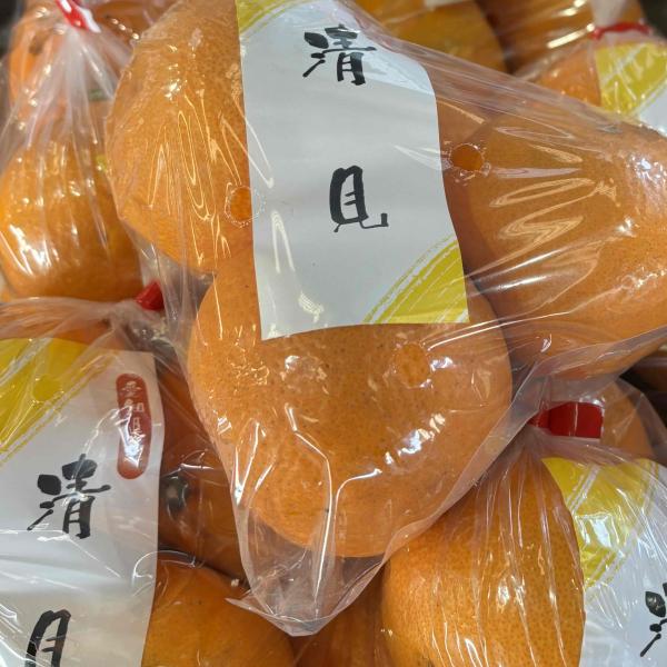 果肉は濃いオレンジ色をしており、果汁たっぷりでジューシーな味わいです。 糖度は11〜12％程度あり食味がよく、種もほとんどないため食べやすい品種です。