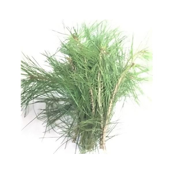 赤松は野草の王様と呼ばれ、昔から仙人の食べ物と呼ばれ、特に血液浄化（血栓予防）につかわれてきました。血液がきれいになることであらゆる病気の改善、予防に昔から期待されている食品です。（食品であり薬ではありません）心臓病、脳梗塞、シミ、などが気...