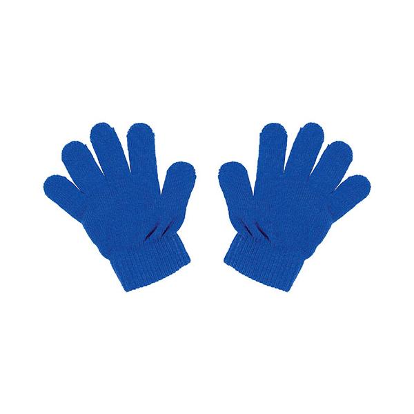 運動会・発表会・イベント 運動会,発表会,イベント,ダンス,応援,演技,イベント