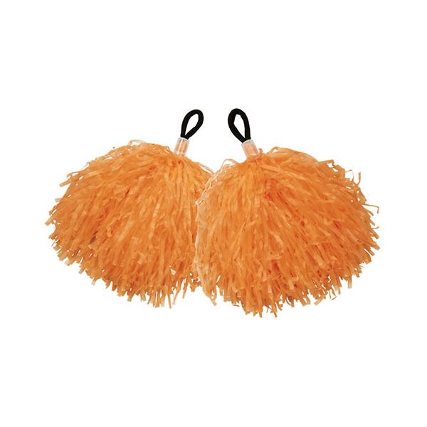 運動会・発表会・イベント 運動会,発表会,イベント,ダンス,応援,演技,イベント