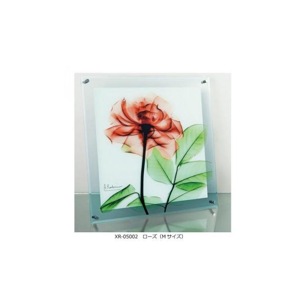 X RAY ガラス アート ローズ Mサイズ XR-05002 透き通る花・・・繊細で不思議な質感・・・見ている人を優しく包み込みます。クリアなガラスのプレートに、透明感のあるレントゲンモチーフをカラフルにプリントしたモダンガラスアート。壁...