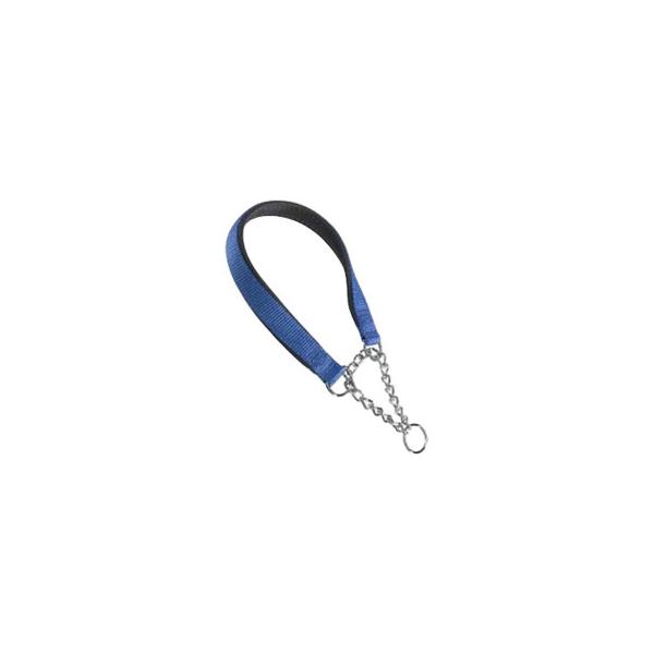 ファープラスト デイトナ CSS15/40 犬用チョーク ブルー 75234025 イタリアferplast社製の犬用首輪です。内側にはクッション性に優れたソフトパットがついているので、ワンちゃんにもオーナーにもやさしい構造。犬種を選ばない...