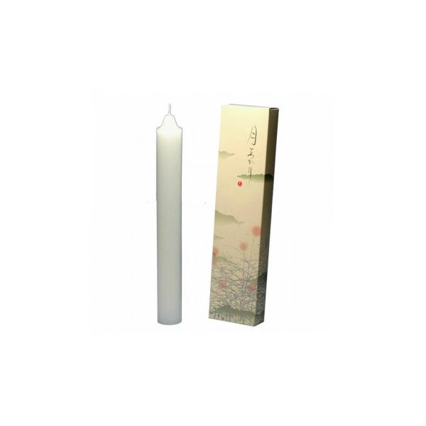 東海製蝋 ローソク 月あかり40時間 2本 131-13 衣裳は日本の伝統的な風合いと彩りを基調に、あくまでも純和風に仕上げました。 生産国:日本 商品サイズ:φ40×340mm 仕様:燃焼時間:約40時間 セット内容:2本 オススメの商品...