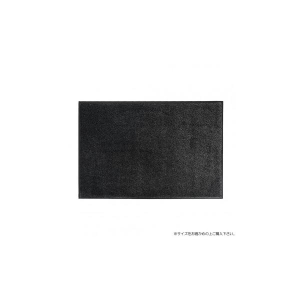 (クリーンテックス) 玄関マット Eco Absorb 40×60cm 室内・屋内・屋外兼用家庭用・業務用・高級玄関マット、エントランスマットです。ゴミを強力にキャッチ、高密度なパイルの中に取り込んで表の汚れを目立たなくします。マット裏面に...
