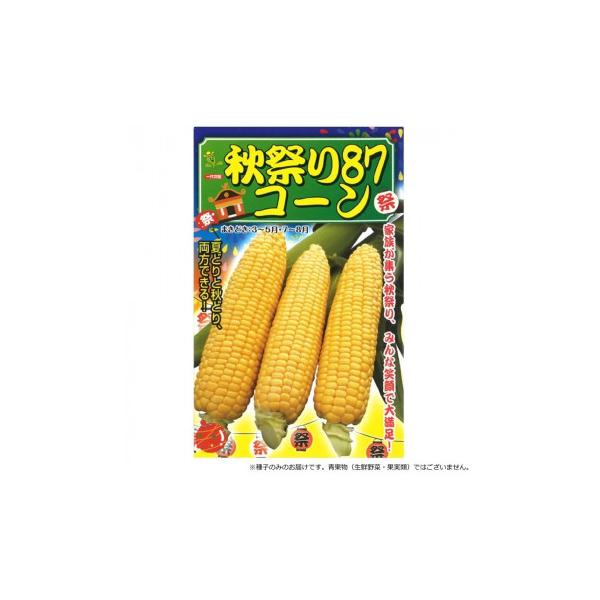 小林種苗 スイートコーン種子 秋祭り87コーン　8146　200粒 粒がきれいに並び先端までボリュームたっぷりの実入りです。可食部が最大化されています。皮が柔らかく、甘みも強いのが特長です。草姿は中勢で草丈は240cm程度になります。根張り...