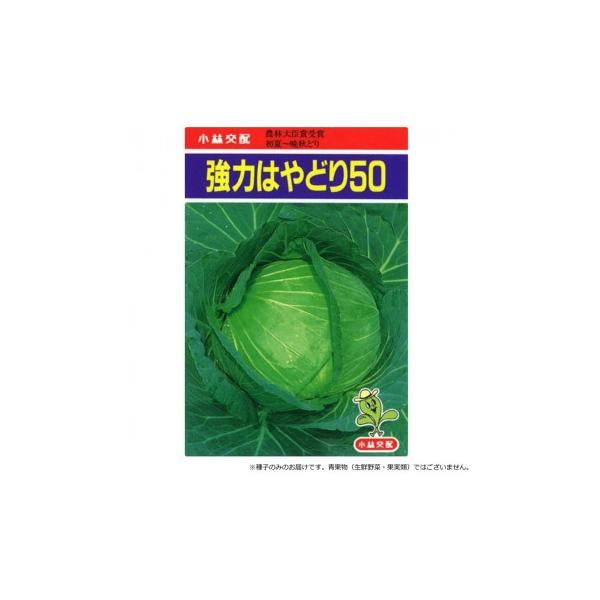 小林種苗 キャベツ種子 強力はやどり50　4-17-4　20ml 平坦地での早春~夏蒔き、初夏~晩秋どりに適した、定植後50日タイプの極早生種になります。耐暑、耐乾、耐湿性があり、栽培も容易です。良質で締まり良く、出荷に有利な中玉揃えに最適...