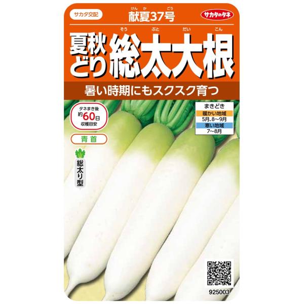 【ご購入後の当店からの連絡はご登録のメールアドレスに通知いたします。必ずご確認ください】