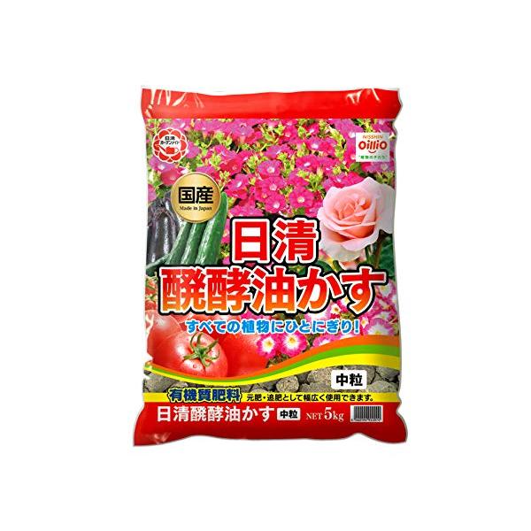 【ご購入後の当店からの連絡はご登録のメールアドレスに通知いたします。必ずご確認ください】