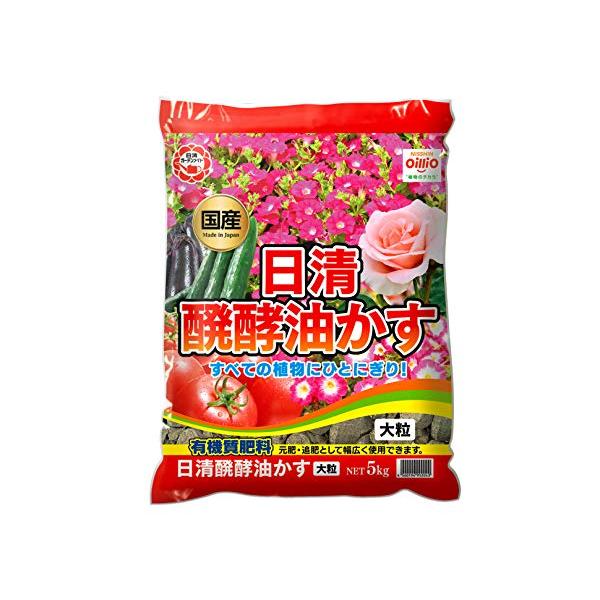 【ご購入後の当店からの連絡はご登録のメールアドレスに通知いたします。必ずご確認ください】
