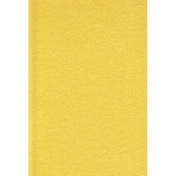 【ご購入後の当店からの連絡はご登録のメールアドレスに通知いたします。必ずご確認ください】【商品概要】39.2×54.2cm【商品説明】【商品詳細】ブランド：エスケント商品種別：ホビー商品名：エスケント 色画用紙 四切 きん 10枚 2090...