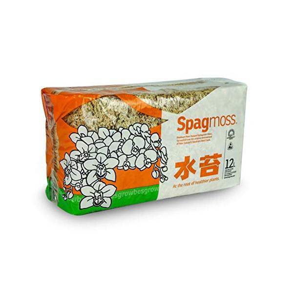 【ご購入後の当店からの連絡はご登録のメールアドレスに通知いたします。必ずご確認ください】【商品概要】ランの植込み材料として最適なハイグレード水苔パッケージ重量: 0.141 kg【商品説明】【商品詳細】ブランド：besgrow商品種別：DI...