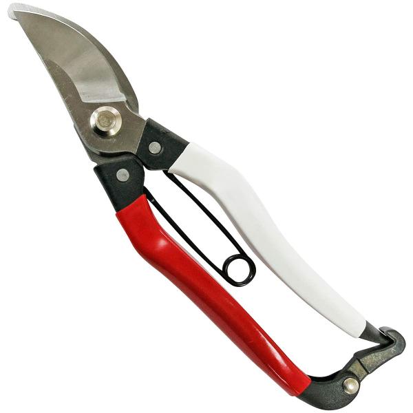 【ご購入後の当店からの連絡はご登録のメールアドレスに通知いたします。必ずご確認ください】【商品概要】果樹・庭木の剪定作業、ガーデニング・盆栽・植木のお手入れに。切刃と受刃で構成された剪定鋏は主に太めの枝の剪定に向いております。大切な枝木を傷...